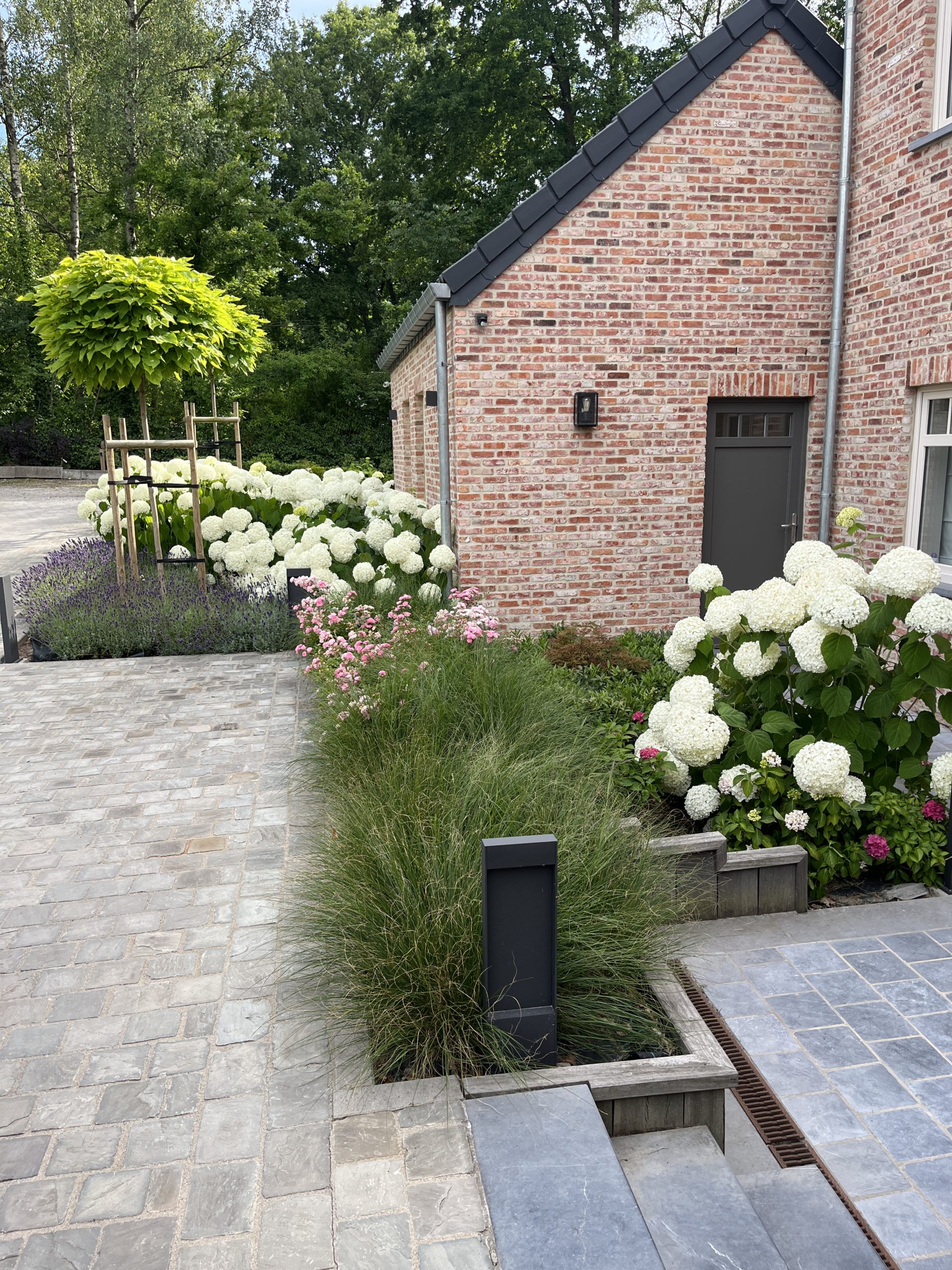 Aménagement de jardins - Malcorps Conception